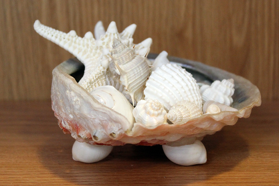 Oyster Shell Centerpiece - Kaleidoscope Baby