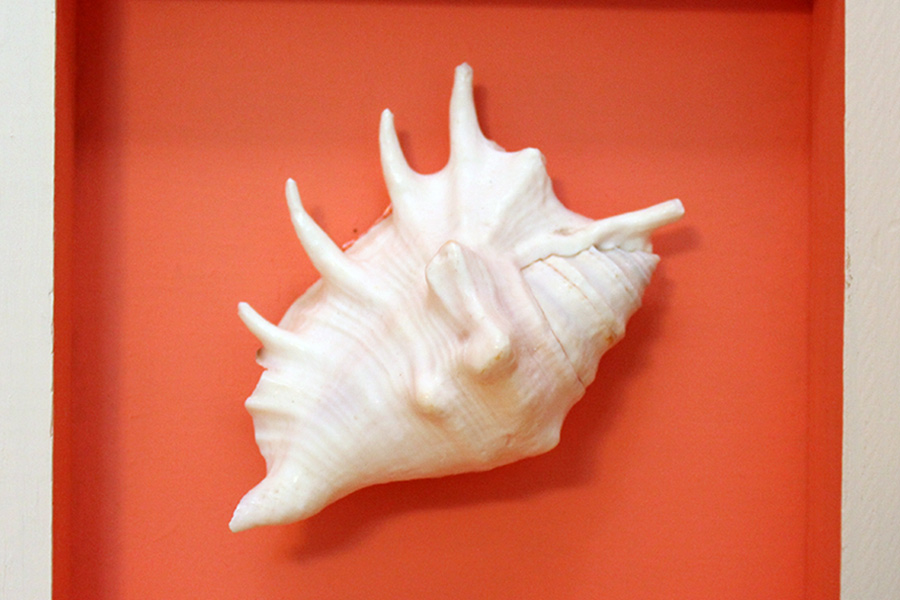 Shell Wall Collage - Kaleidoscope Baby