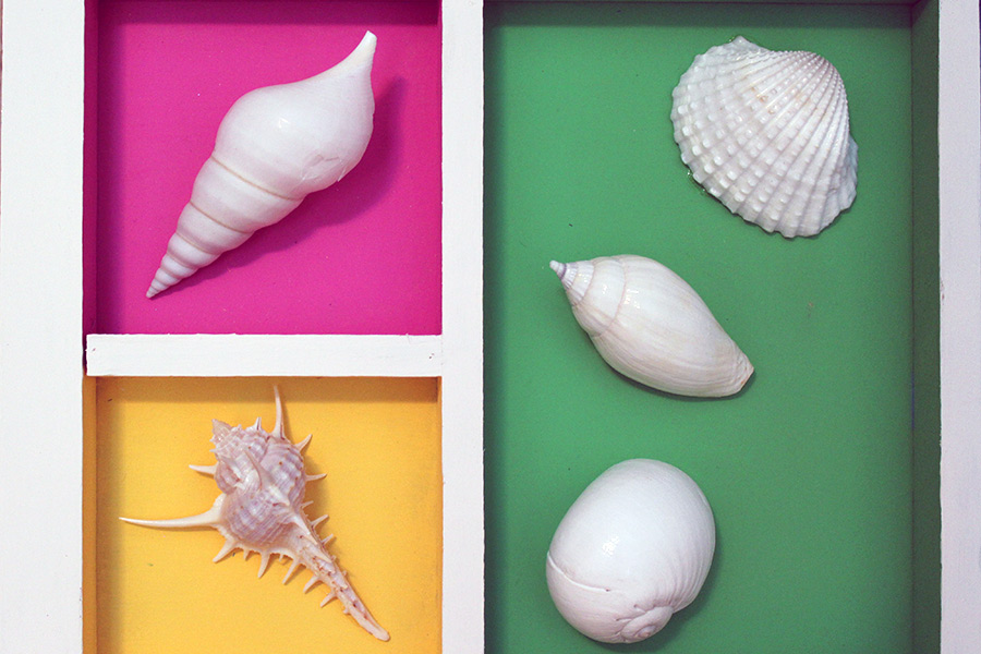 Shell Wall Collage - Kaleidoscope Baby